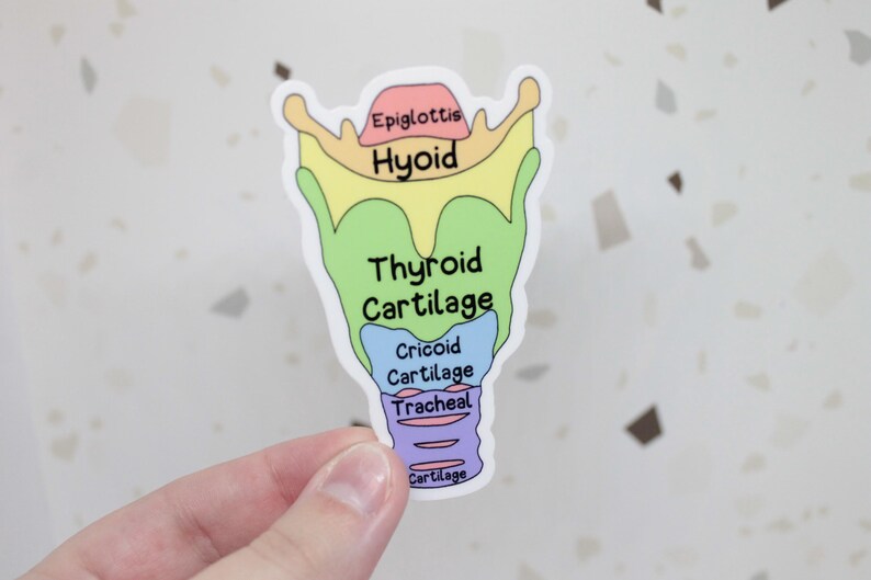 Larynx Anatomy Sticker, SLP Sticker, Speech-language Pathologist ...