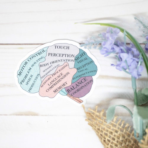 The Brain - Etsy