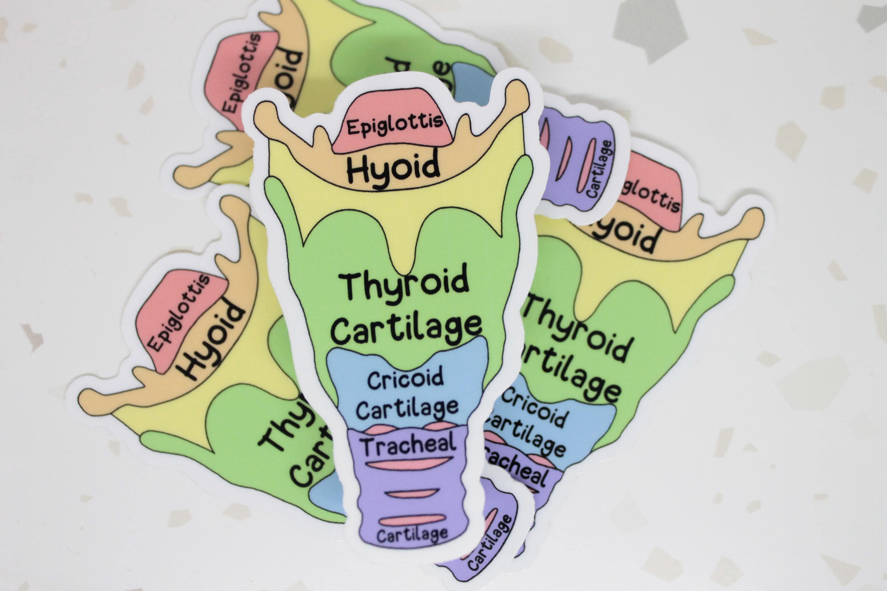 Larynx Anatomy Sticker, SLP Sticker, Speech-language Pathologist ...