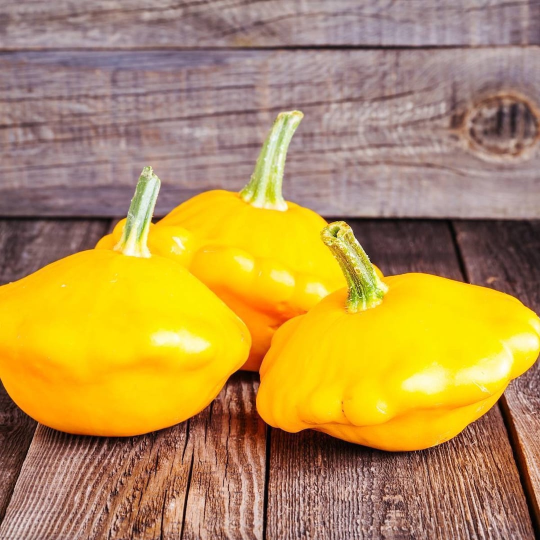 Yellow Bush Scallop Summer Squash 15 Seeds - Etsy