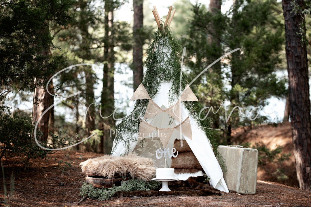 Wild One Cake Smash Backdrop - Etsy