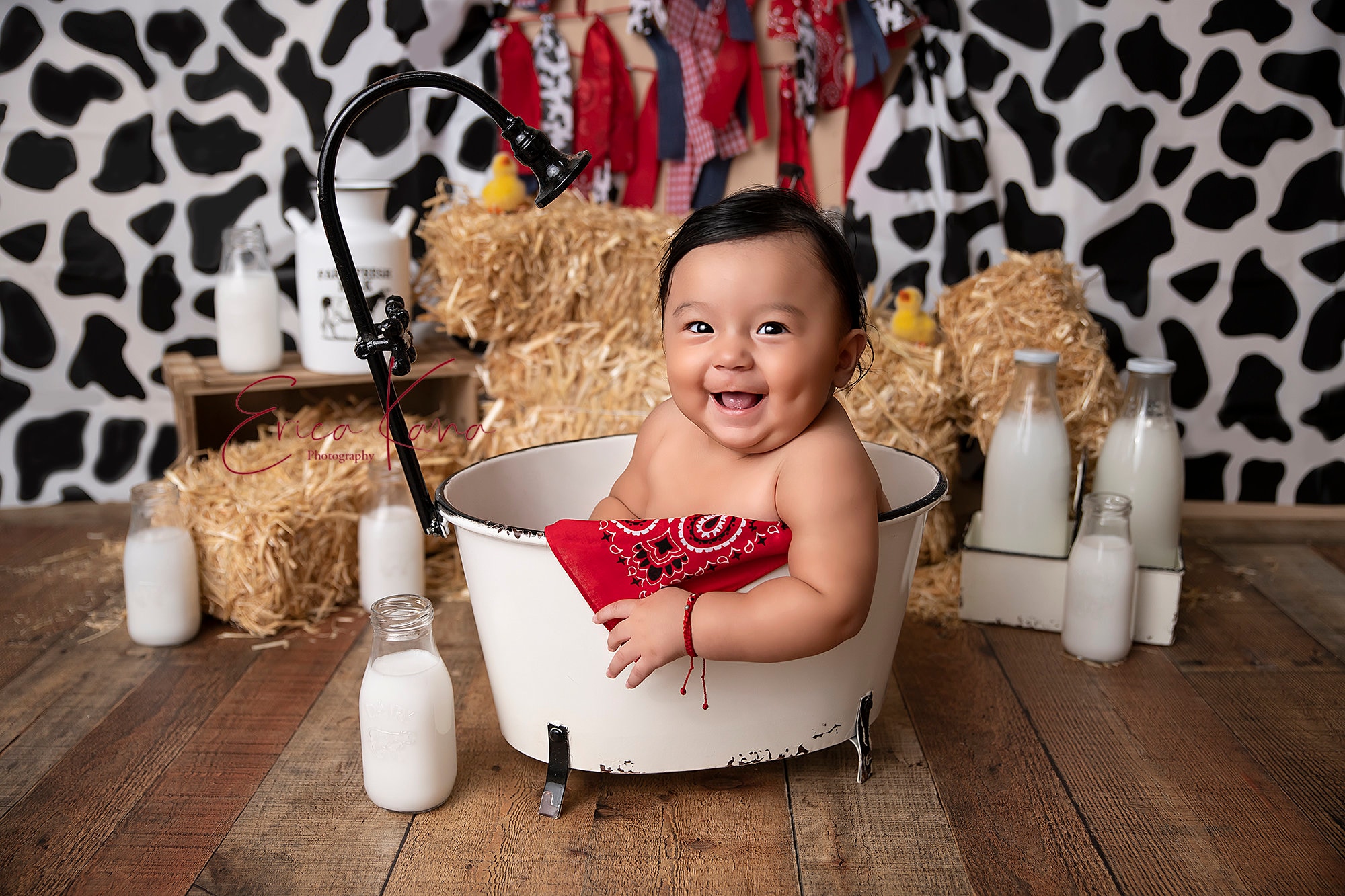 Dairy Cow Milk Bath Digital Background - Etsy