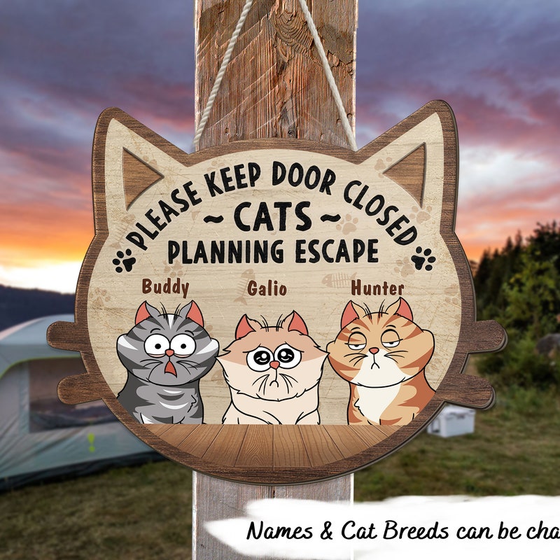 Funny Cat Signs - Etsy