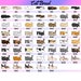 Keep Door Closed Cats Planning Escape Personalized Metal Sign, 3D ...