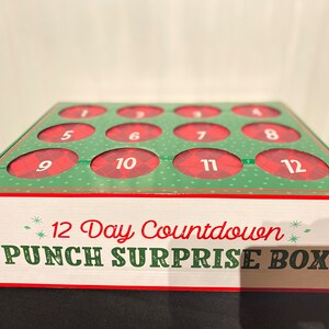 Holiday Surprise "12 Days of Christmas" Cinnamon Roasted Nuts Countdown ...