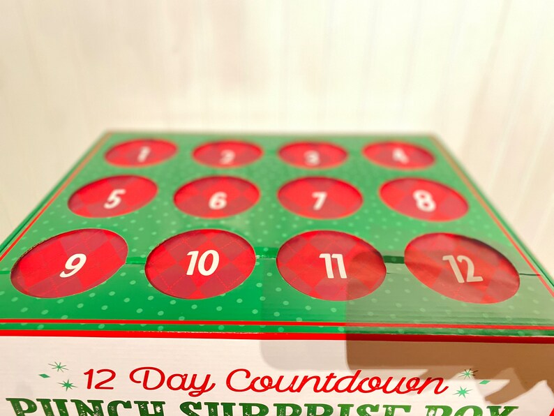 Holiday Surprise "12 Days of Christmas" Cinnamon Roasted Nuts Countdown ...