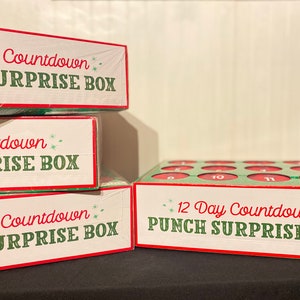 Holiday Surprise "12 Days of Christmas" Cinnamon Roasted Nuts Countdown ...