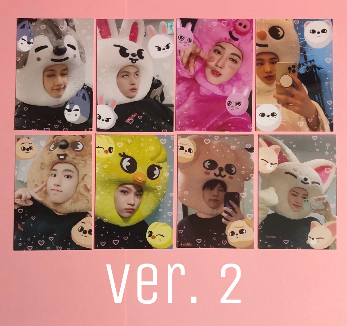 Fan Made Stray Kids X SKZOO Photocards - Etsy