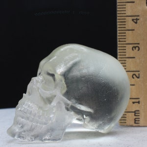 Translucent Skull, High Quality 3D Print, Clear Resin Looks Like ...