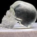 Translucent Skull High Quality 3D Print Clear Resin Looks - Etsy