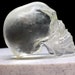 Translucent Skull High Quality 3D Print Clear Resin Looks - Etsy