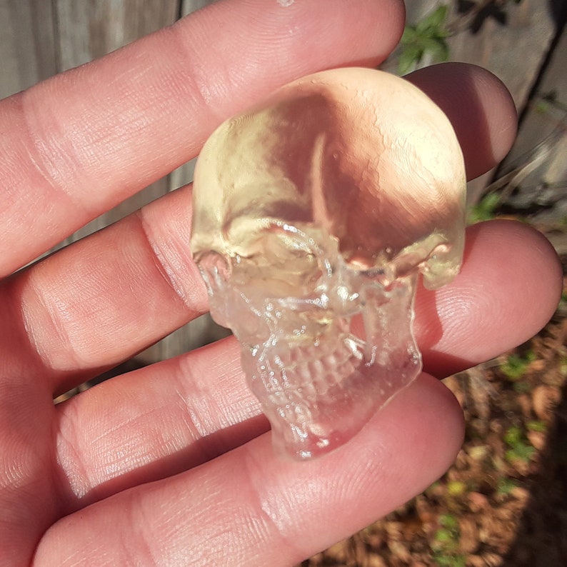 Translucent Skull High Quality 3D Print Clear Resin Looks - Etsy