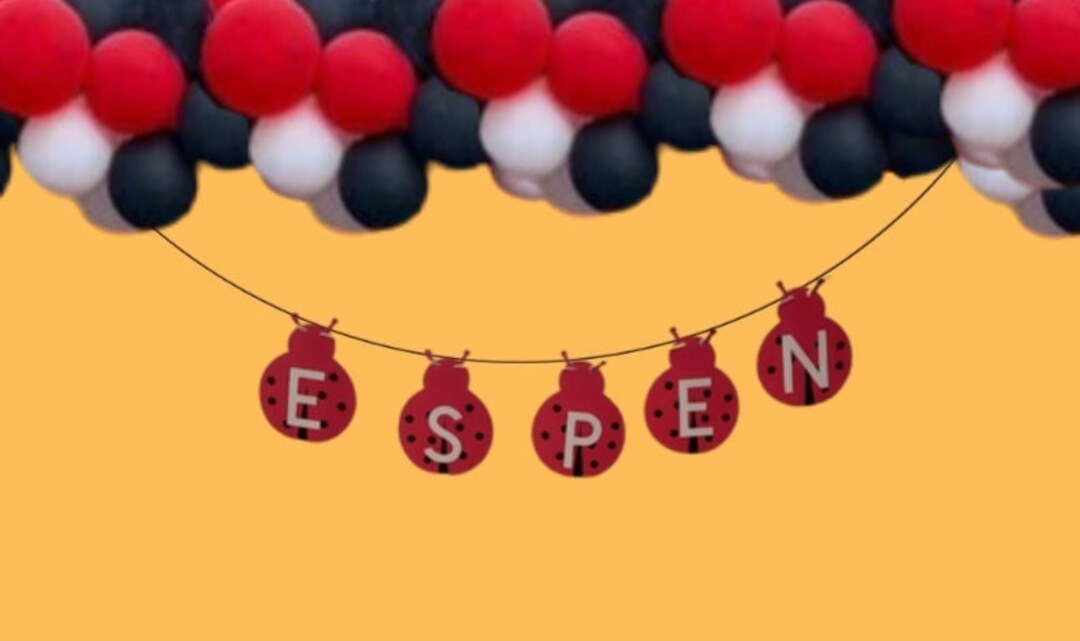 Lady Bug Custom Name Banner/ Our Little Lady Bug Baby Shower Banner ...