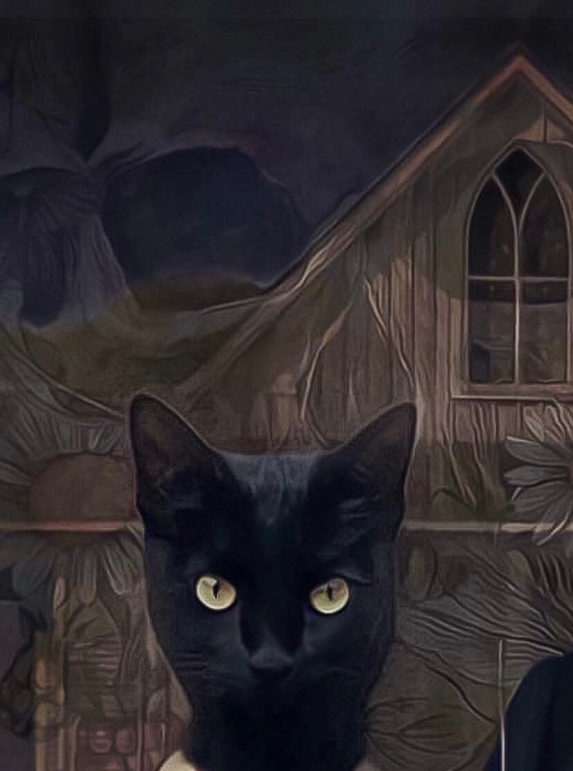 Thackery Binx Hocus Pocus Jason Marsden Vintage - Etsy