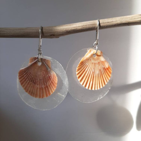 Shell Art - Etsy