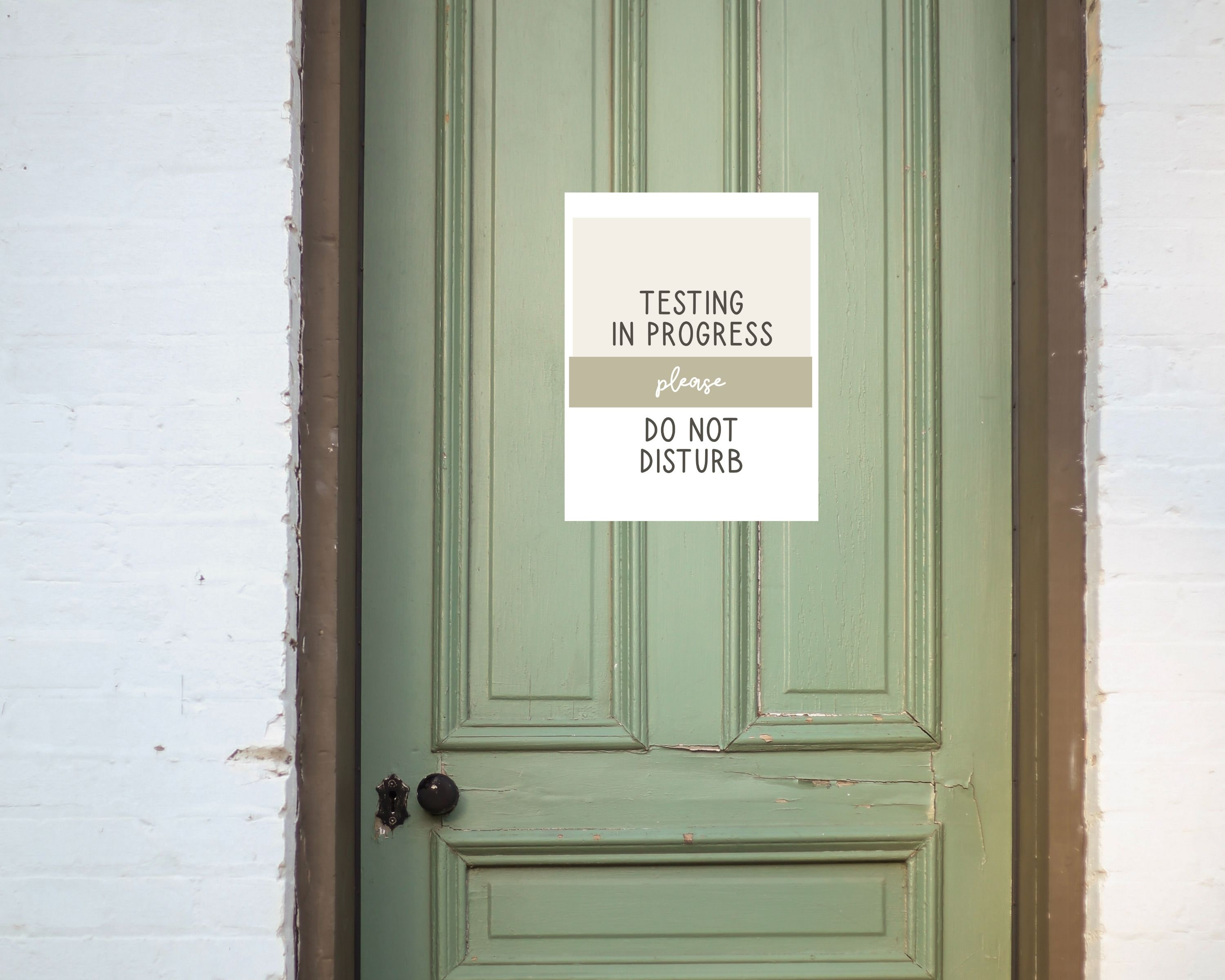 Testing in Progress Please Do Not Disturb Print - School Psychologist ...