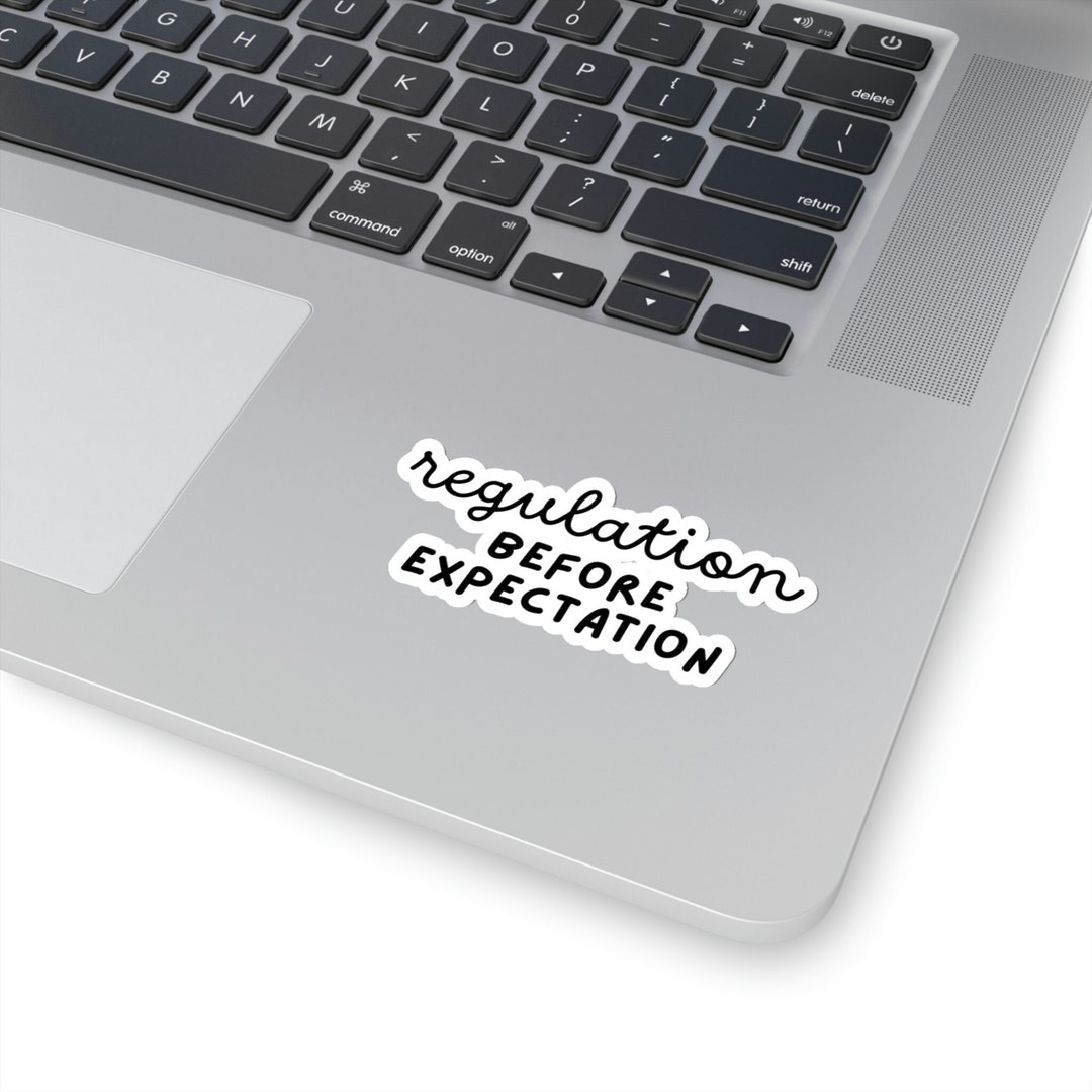 Regulation Before Expectation Sticker- BCBA ABA Gift- Special Education ...