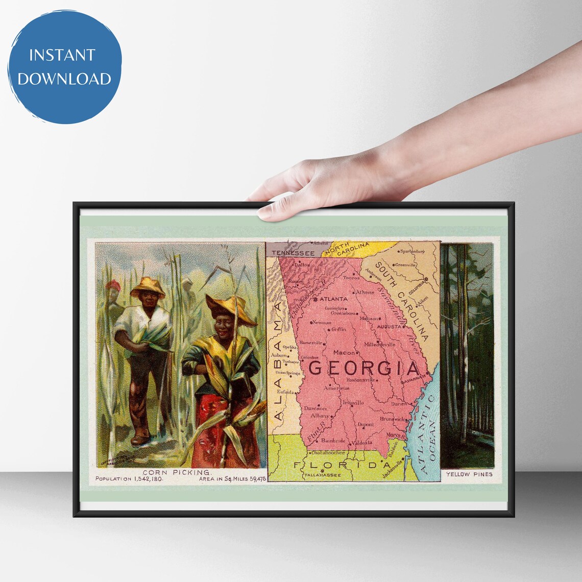 Illustrated Map of Georgia 1890 Digital Print Historic - Etsy Canada
