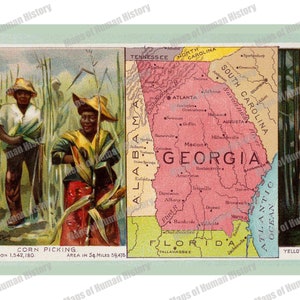 Illustrated Map of Georgia 1890 Digital Print Historic Digital Download ...