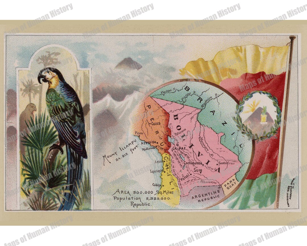 Illustrated Map of Bolivia 1890 Digital Print Historic - Etsy