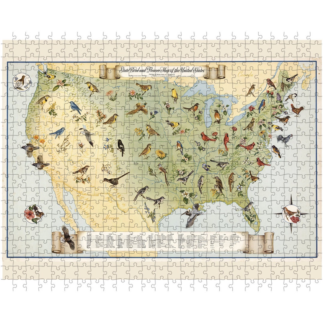State Bird and Flower Map of the United States 252 or 500 Pieces Map ...
