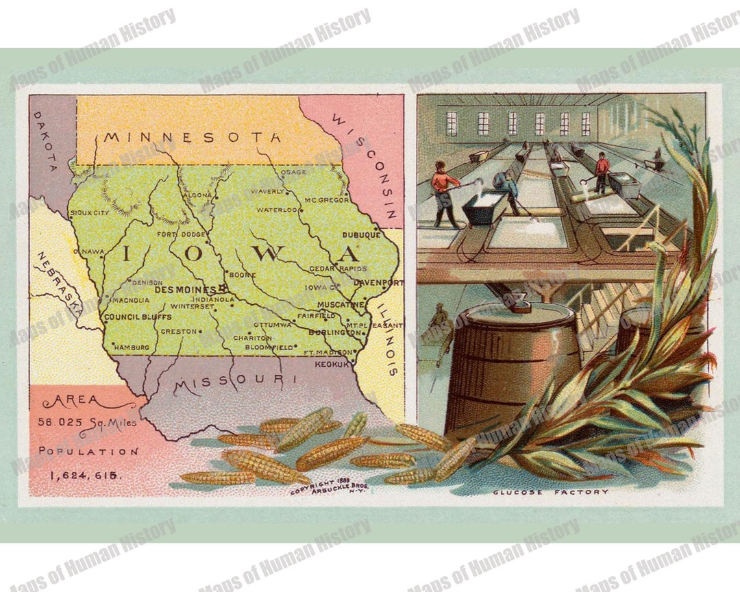 Illustrated Map of Iowa 1890 Digital Print Historic - Etsy