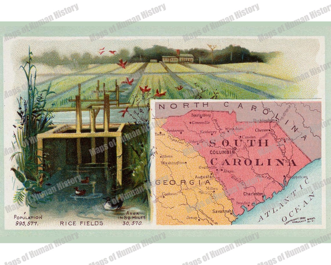 Illustrated Map of South Carolina 1890 Digital Print - Etsy