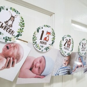 Woodland Photo Banner, Forest Animals Photo Banner, 12 Month Photo ...