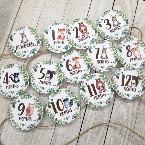 Woodland Photo Banner Forest Animals Photo Banner 12 Month - Etsy