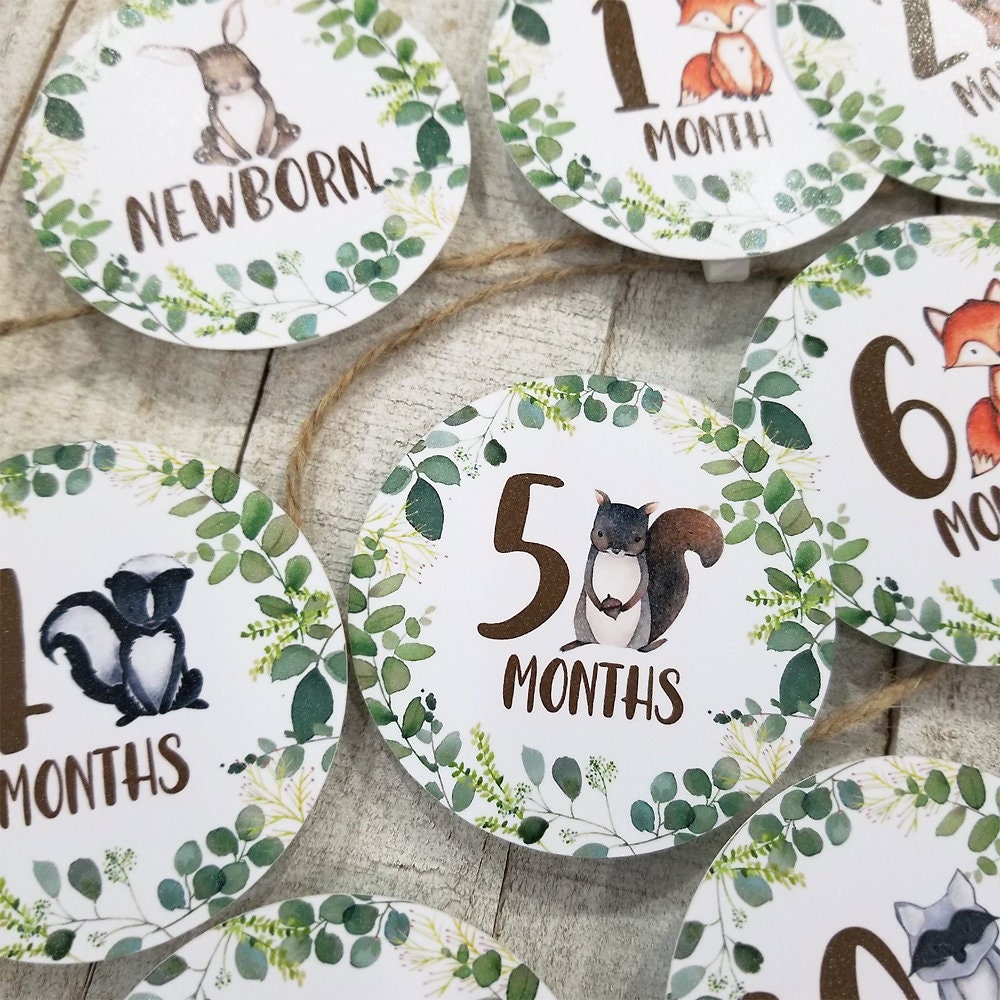 Woodland Photo Banner Forest Animals Photo Banner 12 Month - Etsy