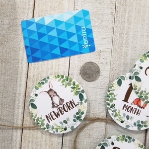 Woodland Photo Banner, Forest Animals Photo Banner, 12 Month Photo ...