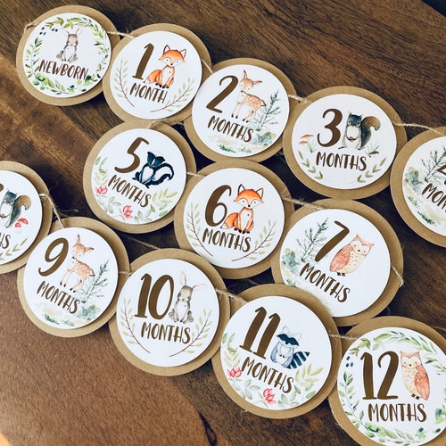 Woodland Photo Banner Forest Animals Photo Banner 12 Month - Etsy