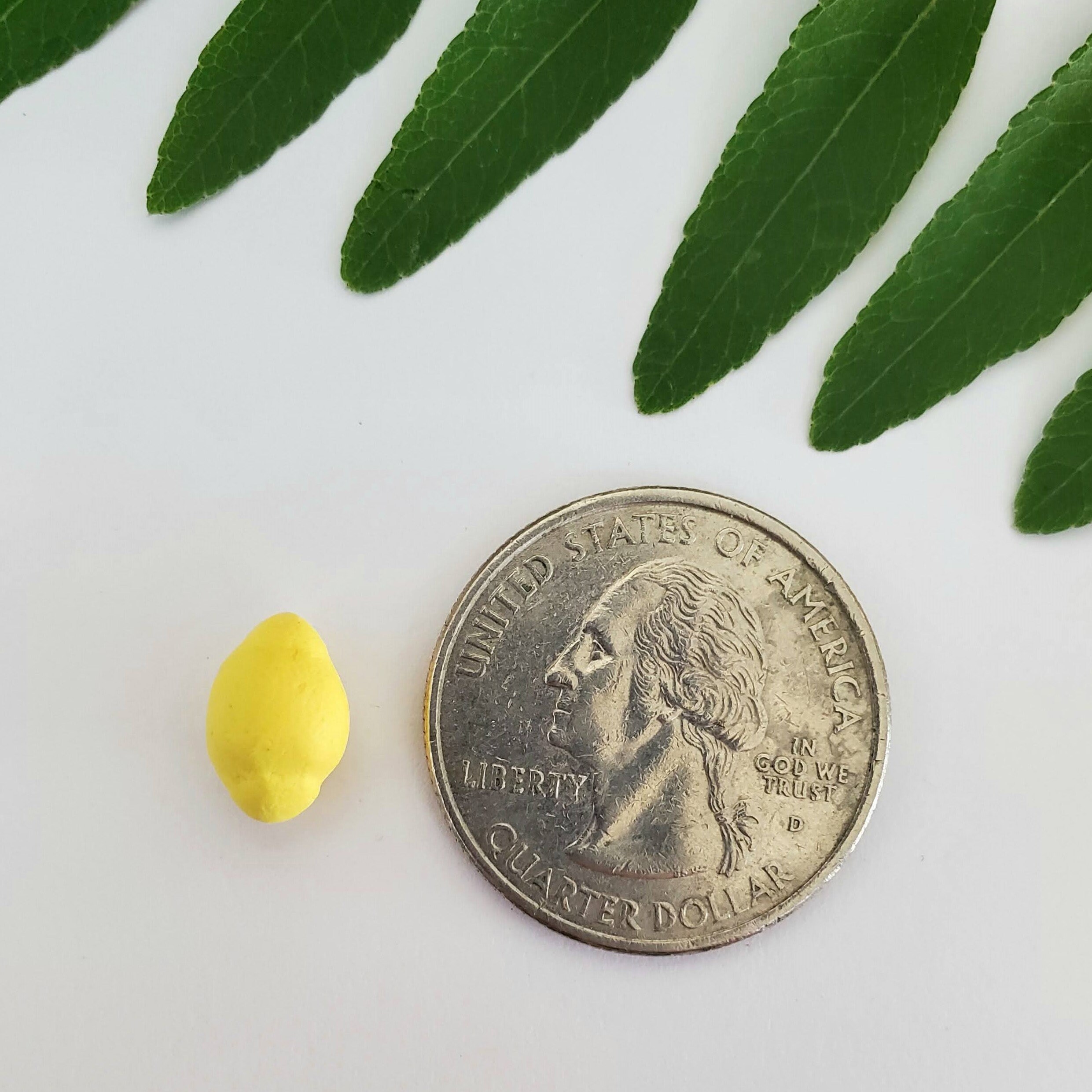 Lemon Polymer Clay Miniatures - Polymer Clay Lemonade Lemon Minis ...