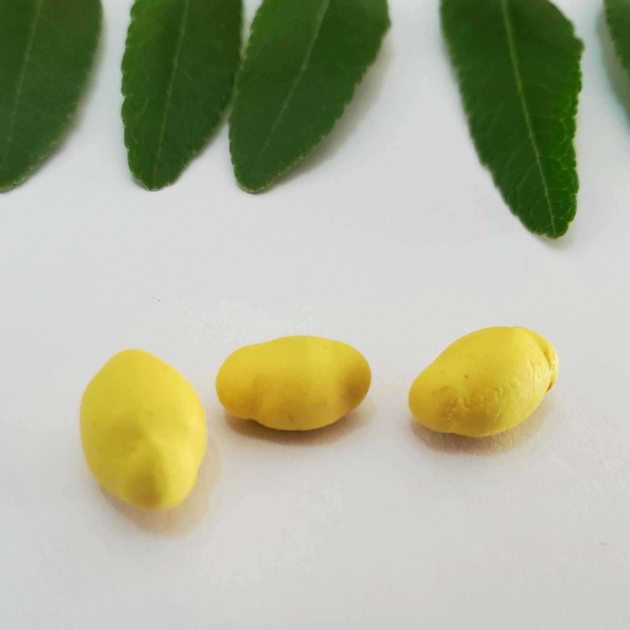 Lemon Polymer Clay Miniatures - Polymer Clay Lemonade Lemon Minis ...