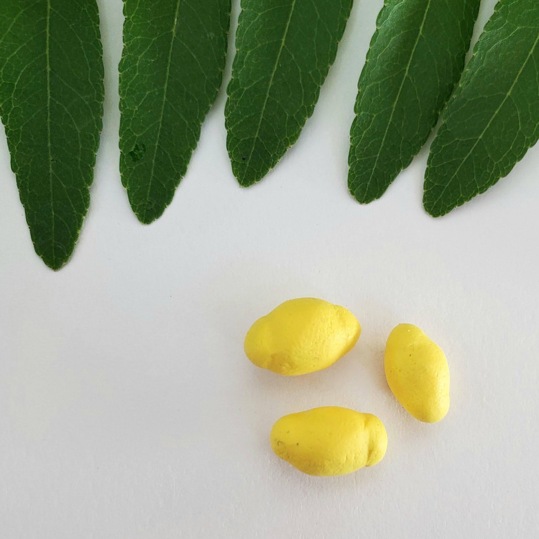 Lemon Polymer Clay Miniatures - Polymer Clay Lemonade Lemon Minis ...