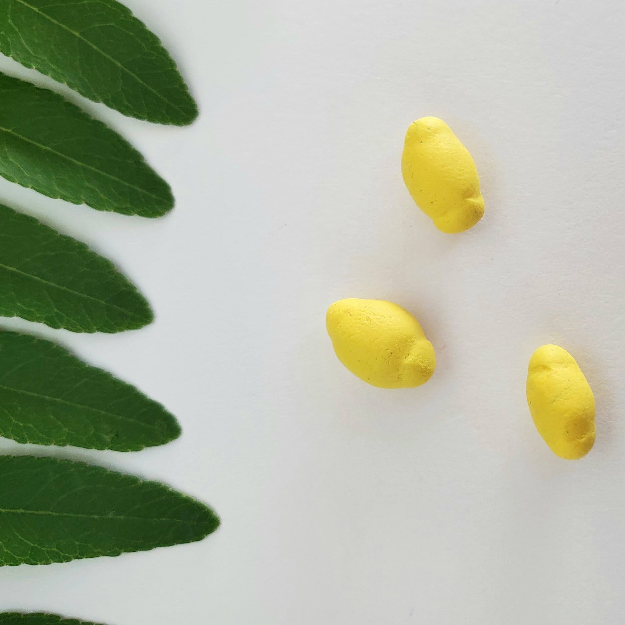 Lemon Polymer Clay Miniatures - Polymer Clay Lemonade Lemon Minis ...