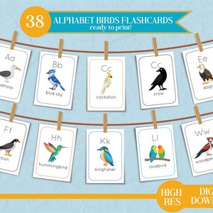 Alphabet Birds Flashcards | A-Z Birds Learning Cards for Kids | Digital ...