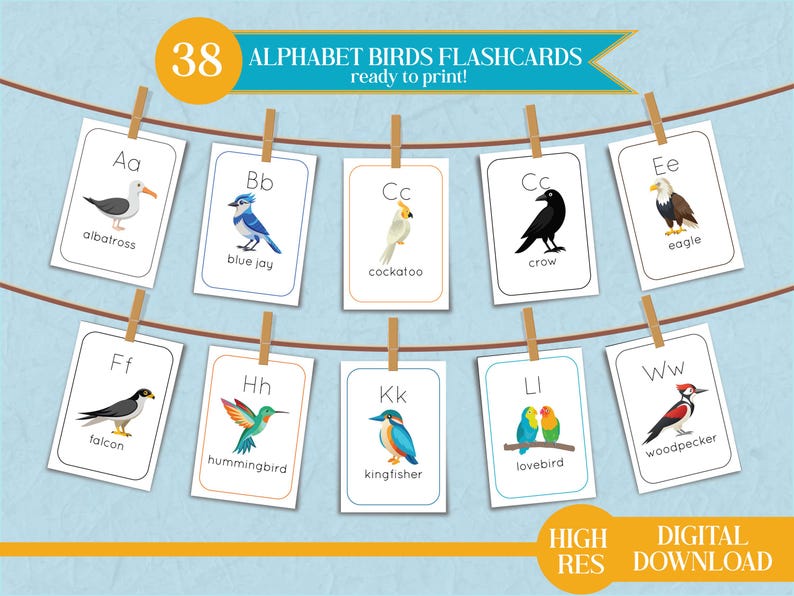 Alphabet Birds Flashcards | A-Z Birds Learning Cards for Kids | Digital ...