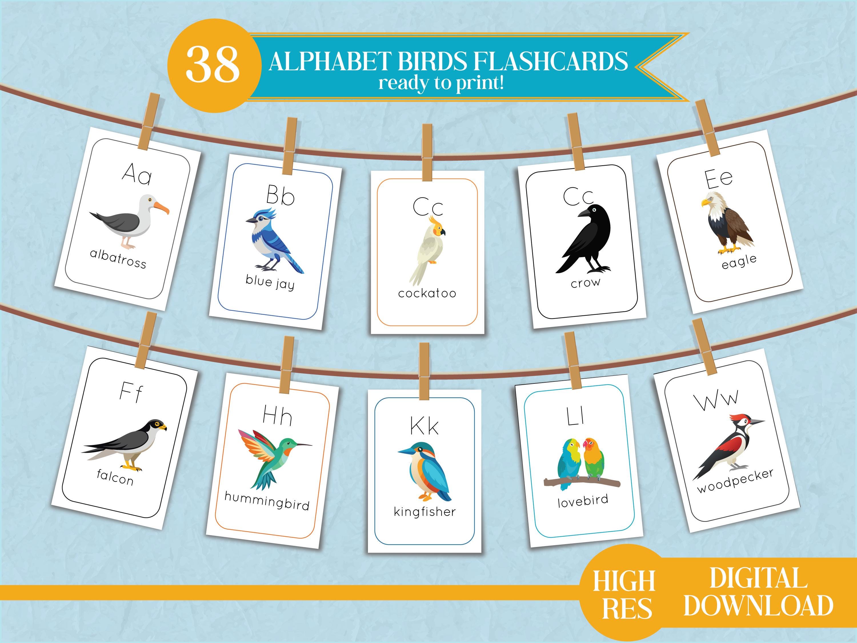 Alphabet Birds Flashcards | A-Z Birds Learning Cards for Kids | Digital ...