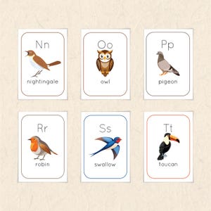 Alphabet Birds Flashcards | A-Z Birds Learning Cards for Kids | Digital ...