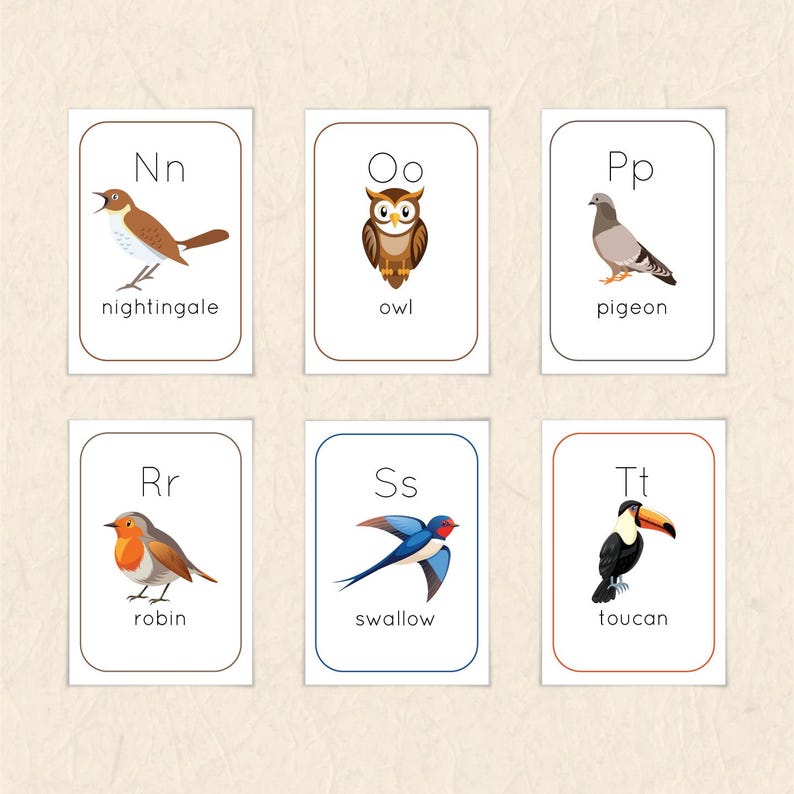 Alphabet Birds Flashcards | A-Z Birds Learning Cards for Kids | Digital ...