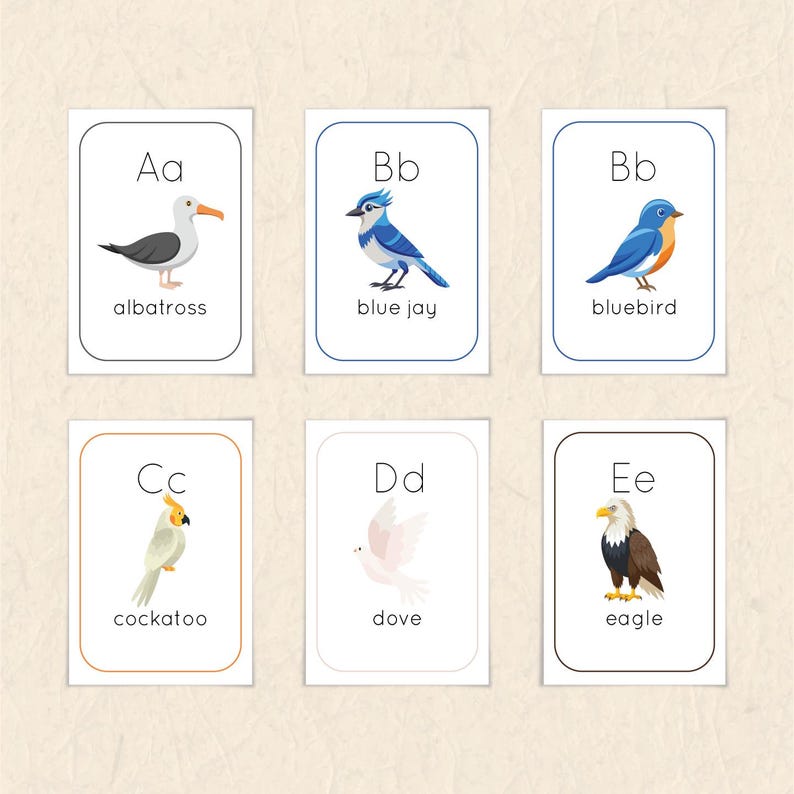 Alphabet Birds Flashcards | A-Z Birds Learning Cards for Kids | Digital ...