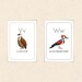Alphabet Birds Flashcards | A-Z Birds Learning Cards for Kids | Digital ...