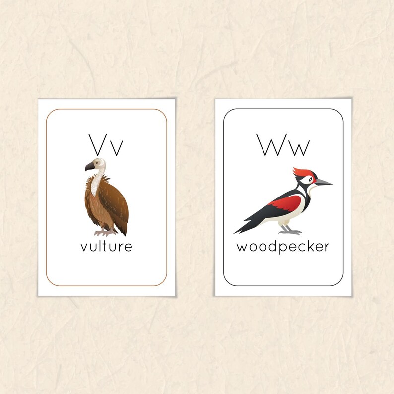 Alphabet Birds Flashcards | A-Z Birds Learning Cards for Kids | Digital ...