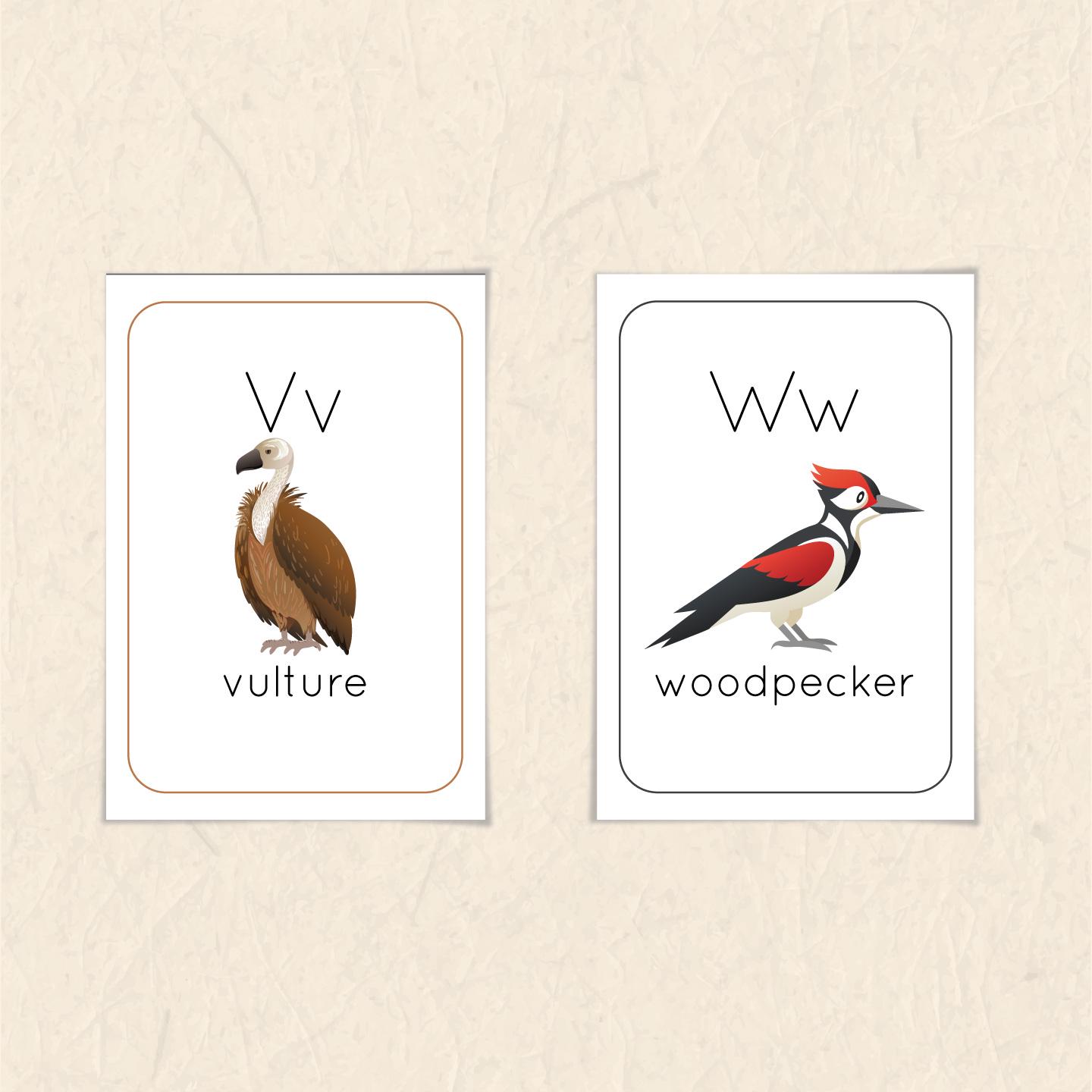 Alphabet Birds Flashcards | A-Z Birds Learning Cards for Kids | Digital ...