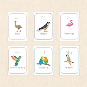 Alphabet Birds Flashcards | A-Z Birds Learning Cards for Kids | Digital ...