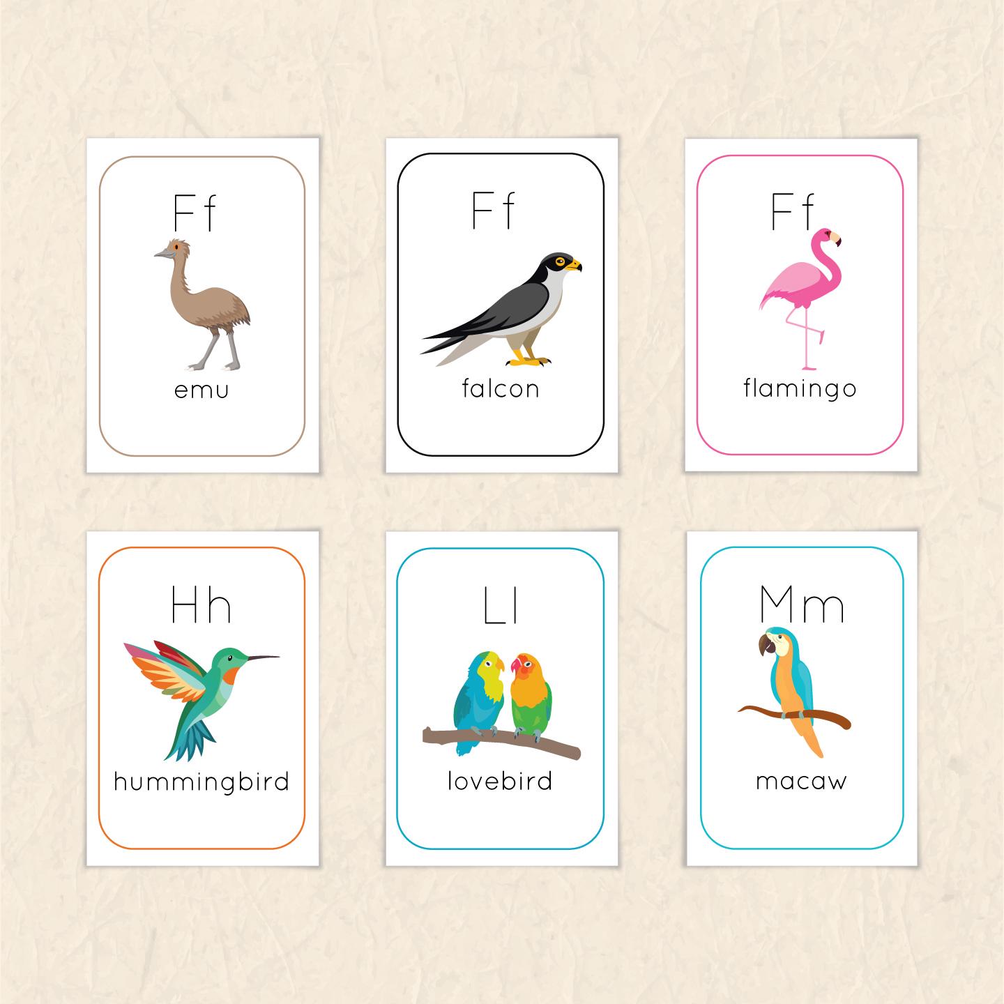 Alphabet Birds Flashcards | A-Z Birds Learning Cards for Kids | Digital ...