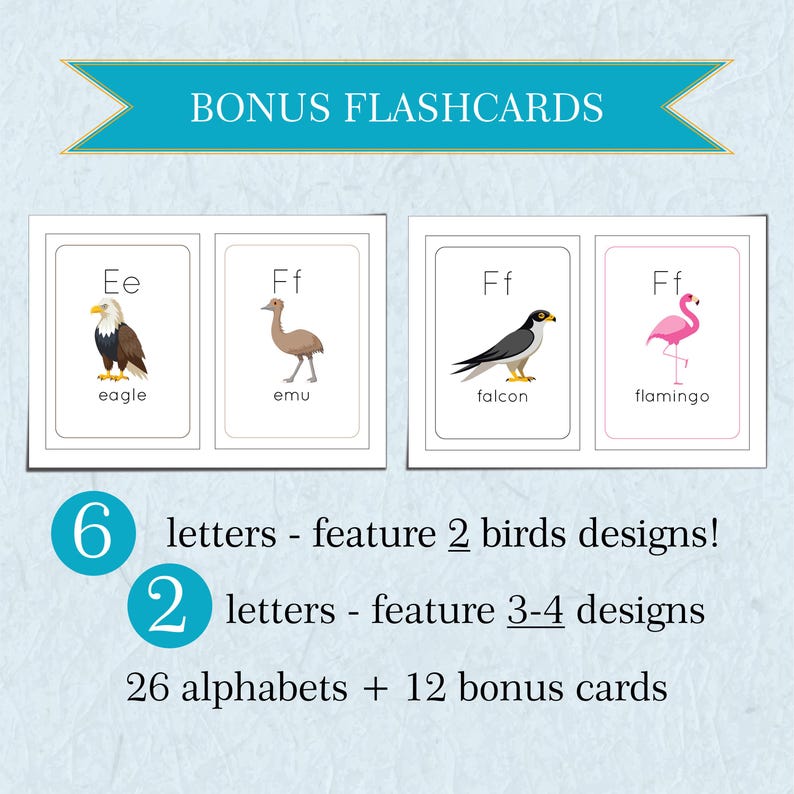 Alphabet Birds Flashcards | A-Z Birds Learning Cards for Kids | Digital ...