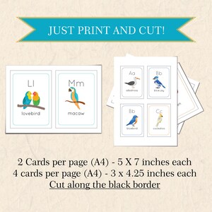 Alphabet Birds Flashcards | A-Z Birds Learning Cards for Kids | Digital ...