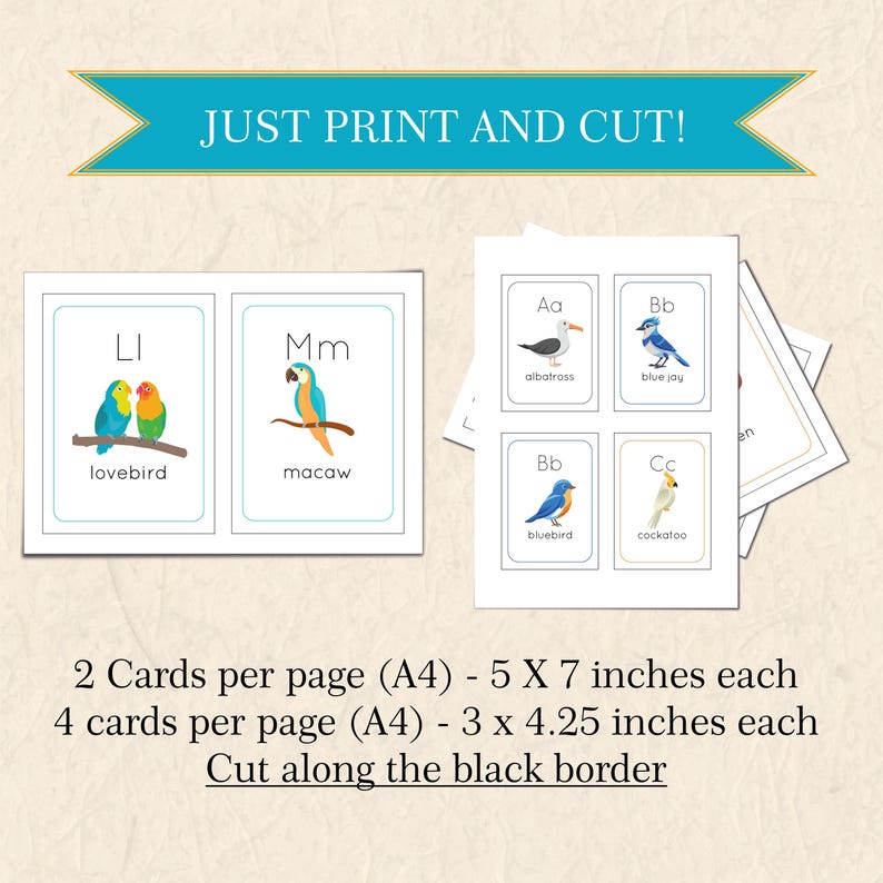 Alphabet Birds Flashcards | A-Z Birds Learning Cards for Kids | Digital ...